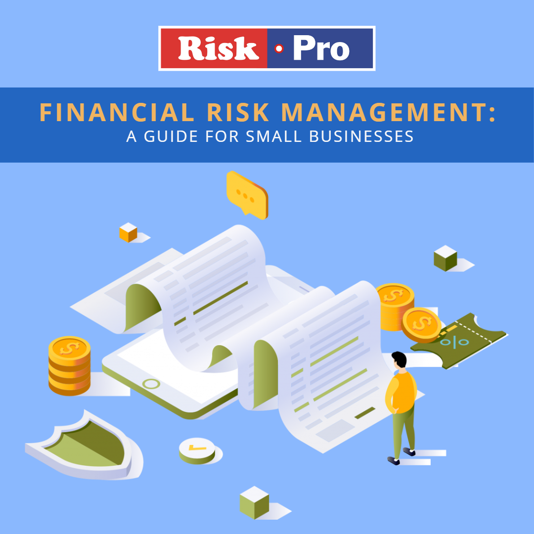 Financial Risk Management: A Guide for Small Businesses | Riskpro India - Connect with Risk ...